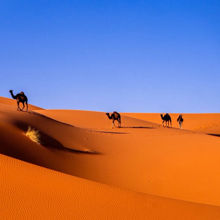 SiVola Fest Marocco: il Grande Tour | SiVola.it