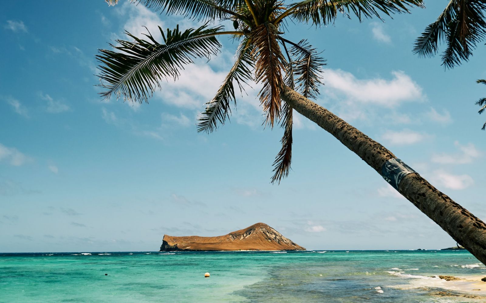 Consigli di viaggio per una vacanza alle Isole delle Hawaii | SiVola.it