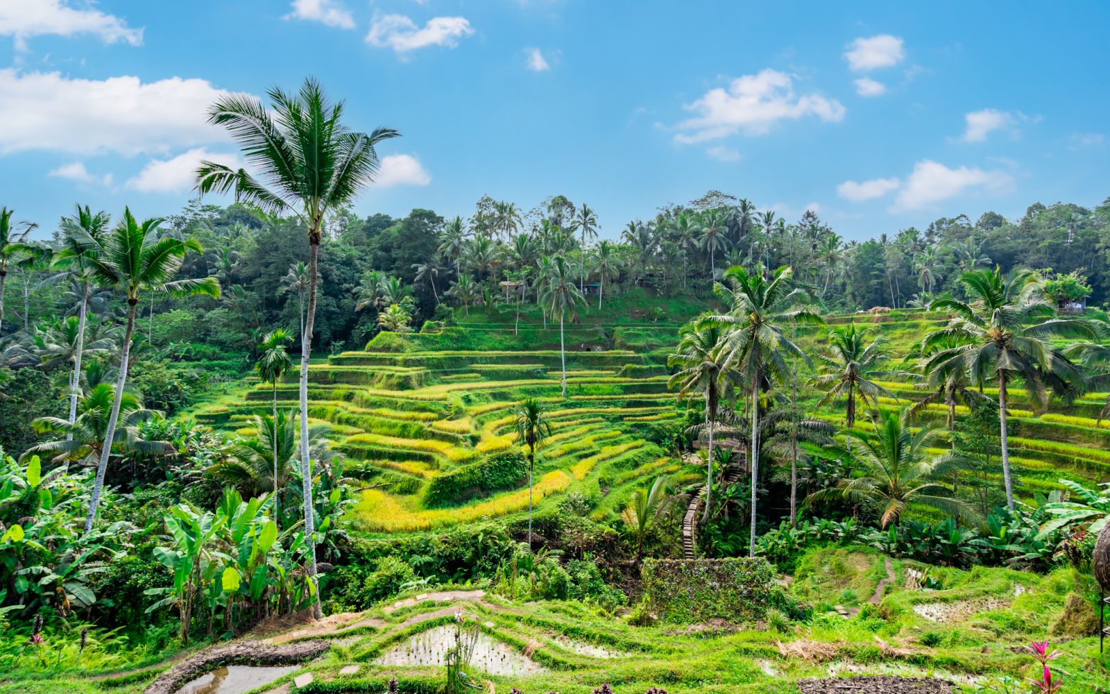 Viaggi di gruppo in Indonesia - Tour organizzato alla scoperta dell ...